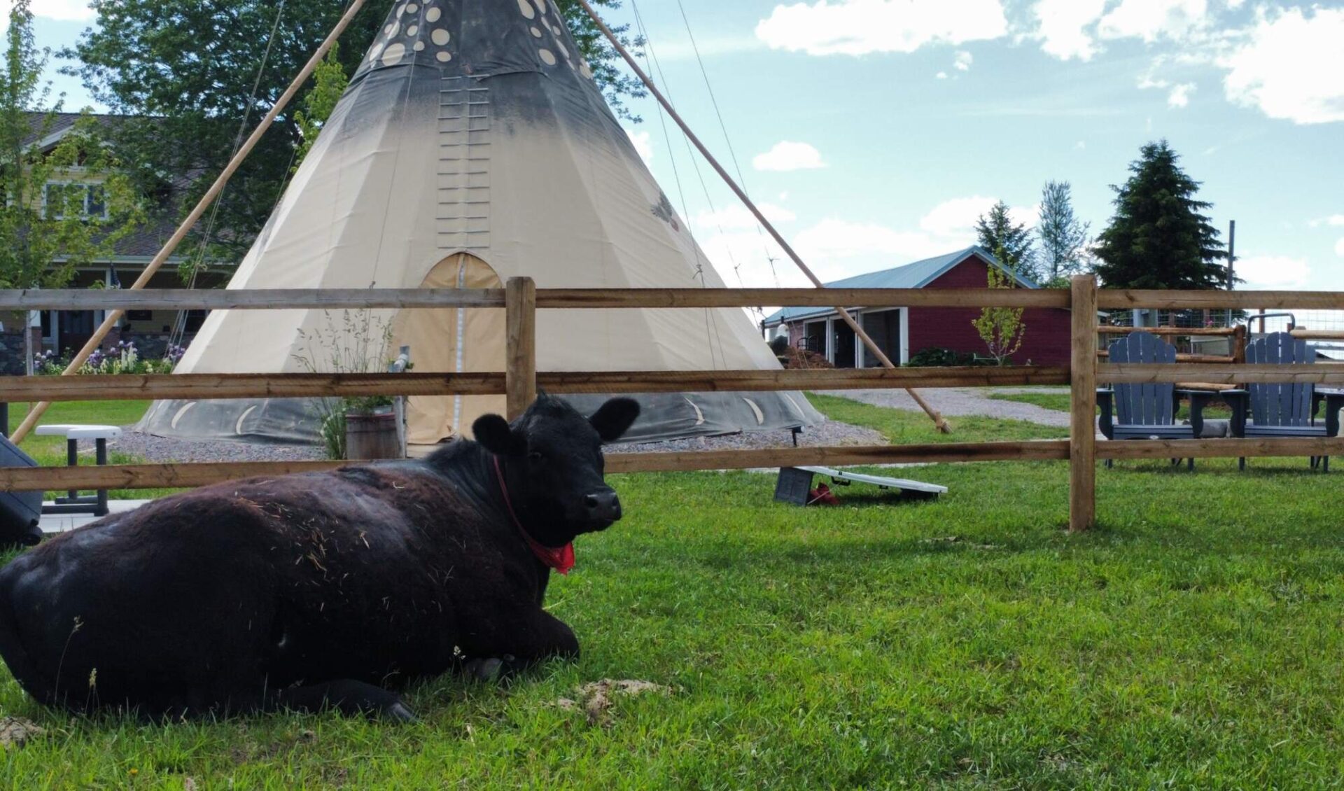 "The Freedom Tipi" Luxury Tipi Glamping with Picturesque Views - Snooze ...